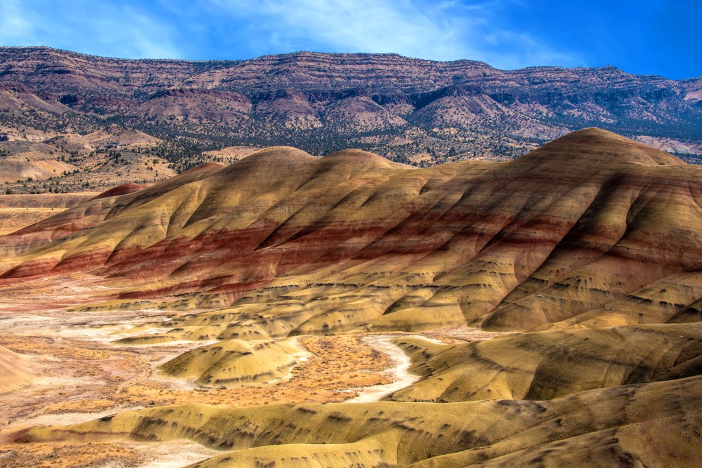 An Artist's Landscape: The Painted Hills - John Carr Outdoors