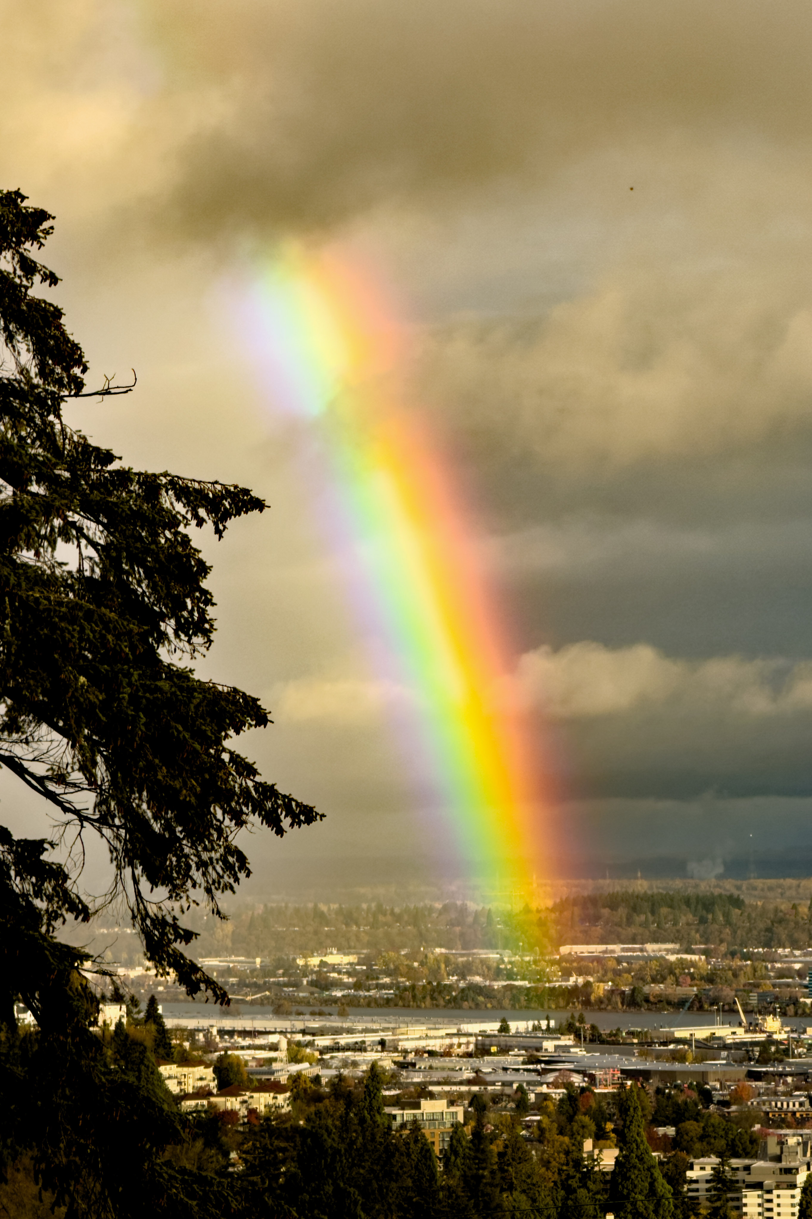 Mid-Autumn in Northwest Oregon - John Carr Outdoors