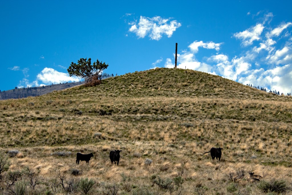 A Hike at Criterion Ranch to Stag Point's Majestic Vistas - John Carr ...