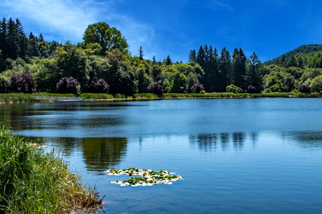 A Pleasant Visit to Vernonia Lake - John Carr Outdoors